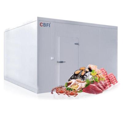 China Modular Modular Cold Rooms Compressor Refrigeratied Big Capacity Cold Storage Warehouse for sale