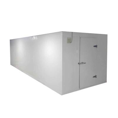 China Cold Room Cold Storage for Frozen Meat Seafood, Vegetable and Fruits for sale