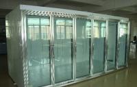 China Back Side Loading Glass Door Freezer Large Capaciy Remote System Copeland Compressor for sale