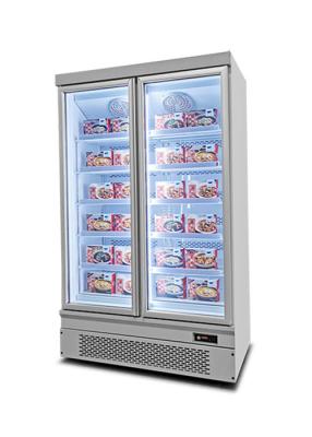China Plug In System Commercial Display Freezer Double door Showcase for sale