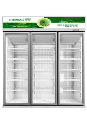 China R134a 1129L Commercial Beverage Cooler Grocery Upright Freezer for sale