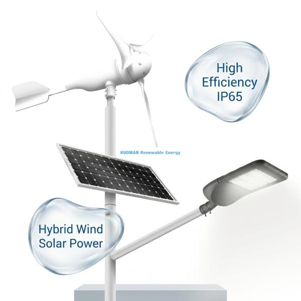 Quality Solar Wind Hybrid LED Street Light IP65 Waterproof with 12hrs*365days Working Time and 100W 150W 200W Power Options for sale