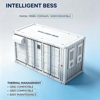 China Global Deployable Container Energy Storage ESSC0500A-1106 for Industrial Commercial Park Energy Storage Projects for sale