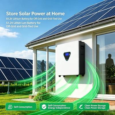 China Wall Solar & Generator Compatible LiFePO4 Battery 51.2V Series Smart Cell Balancing Real-Time LCD Monitoring System for sale