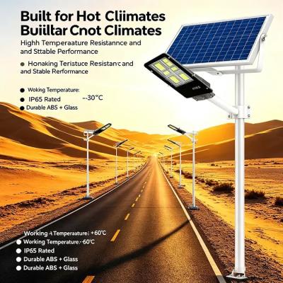 China Off Grid No Electricity Cost Solar Street Light for Farm Park Pathway Lighting for sale