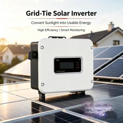 China AFCI Protection Grid Tie Solar Inverter DC Reverse Polarity Protection PV Inverter for sale