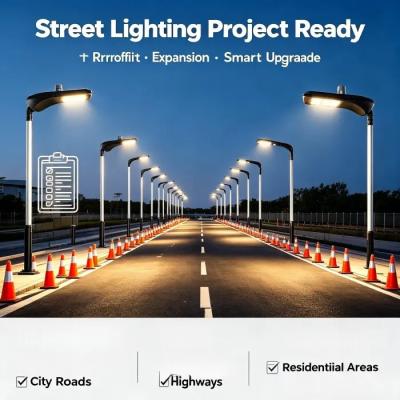 China Smart LoRaWAN LED Street Light, Remote 0‑10V Dimming, NEMA Single Lamp Controller, City Road Lighting for sale