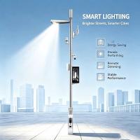 China Smart Pole‑Multi‑Function Smart Street Light Pole for Smart City Solution with WiFi, Camera & Charging Station for sale