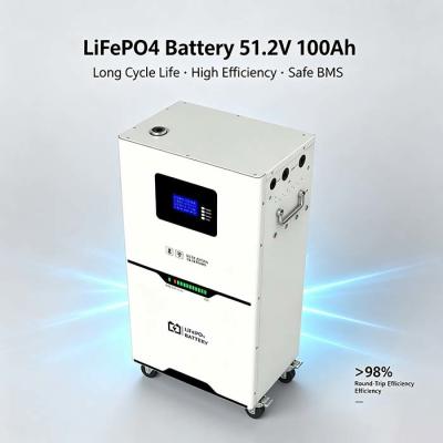 China 5.12kWh 51.2V LiFePO4 Power Storage Battery, Wheel Cabinet Design for Easy Moving for sale