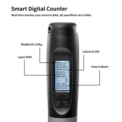 China Fitness Equipment Weighted Speed Skipping Rope Digital Smart Cordless Jump Rope with Counter for sale
