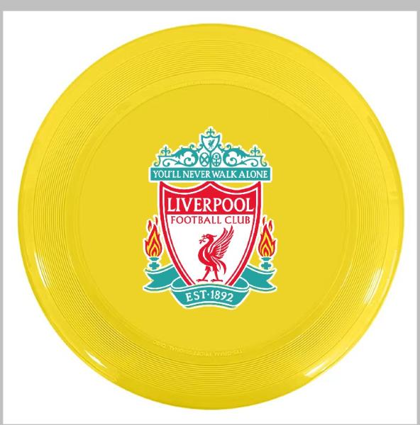 Quality Children Frisbeed Logo Printed Custom Outdoor Flying Disc Soft Playing Flying for sale