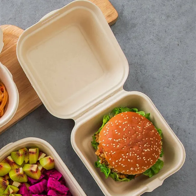 Biodegradable Pulp Packaging 6X6 Takeaway Lunch Box - Burger Container and  Hamburger Box price | Made-in-China.com