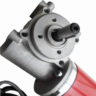 Cina Motore 24VDC 100W dell'ingranaggio di CC per il motore del portello scorrevole, nero con il codificatore in vendita