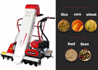 Cina Cinghia dell'insacchettatrice di raccolta e del grano del contenitore di CHIFOON 20Inch doppia in vendita