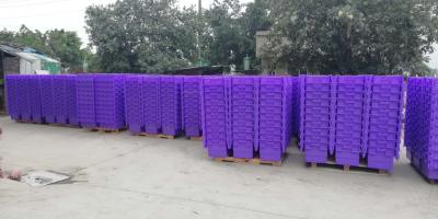 China 600*400*365 a prueba de agua milímetro que apila los totalizadores plásticos con el sello antirrobo del botón en venta