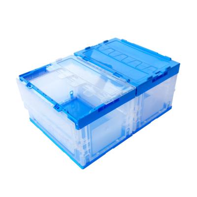 Cina la plastica pieghevole di 530*360 millimetro porta/silos di immagazzinamento di plastica pieghevoli in vendita