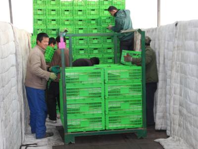 China Agricultural Plastic Collapsible Storage Crate Customized 600*400 Mm for sale