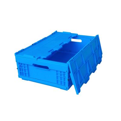 Cina Gabbie di plastica pieghevoli allegate del vergine pp dei coperchi piccole di bassa potenza in vendita