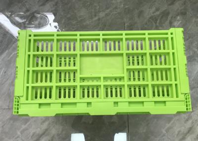 Cina Altezza del vergine pp 300mm delle gabbie di plastica della frutta e di verdura del commestibile in vendita