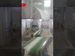 Customizable Voltage Cassava Starch Processing Equipment Showcase