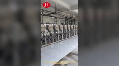 Customized Corn Starch Production Line for Hydrocyclone Equipment Production Line