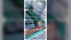 Customized Cassava Starch Production Line Cassava Starch Vacuum Filter Equipment