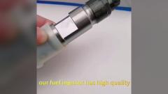 Genuine Weichai Diesel Fuel Common Rail Fuel diesel Injector Nozzle 612600080611