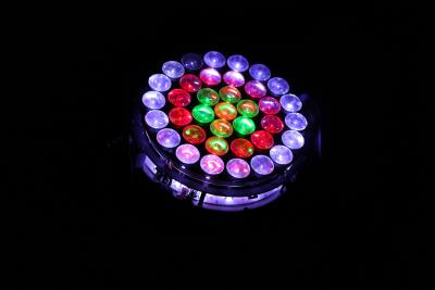 중국 주도하는 세정을 이동하는 헤드 단계 라이트 빔을 이동하는 1번 줌 세정에서 37*10W RGBW 4 판매용