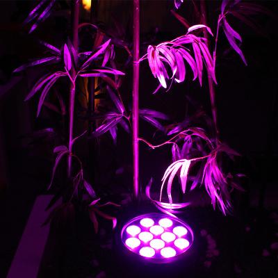 中国 12x10w 1つのDMX512段階の洗浄ライトに付き防水導かれた標準ライトRGBW 4つ 販売のため