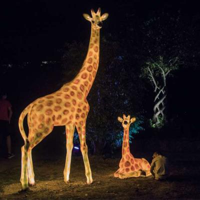 Китай Водонепроницаемое освещение свадьбы IP65 Led 150W Cob Par Light продается