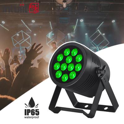 Cina Faretto da palco 12x20w impermeabile RGBWA UV LED PAR DMX IP65 Illuminazione per spettacoli DJ all'aperto in vendita