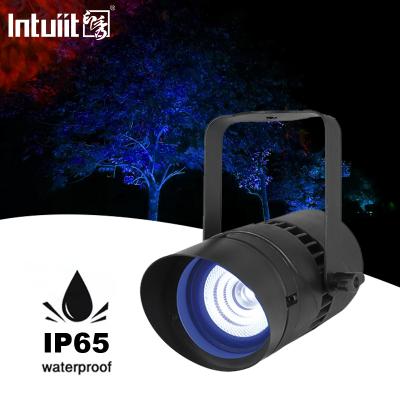 China Garden Led Light Ip65 Landscape Lighting 12W Garden Spike Rgbw Outdoor Light Decoration Led Spotlights for sale