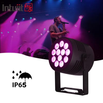Cina Faretto LED Par DMX 512 impermeabile IP65 per esterni, 12x20w RGBWA-UV 6in1, Eventi DJ, Wash Light in vendita