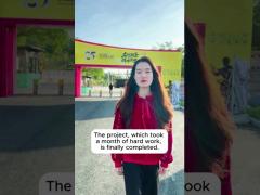 Shunde Bruce Lee Project Case