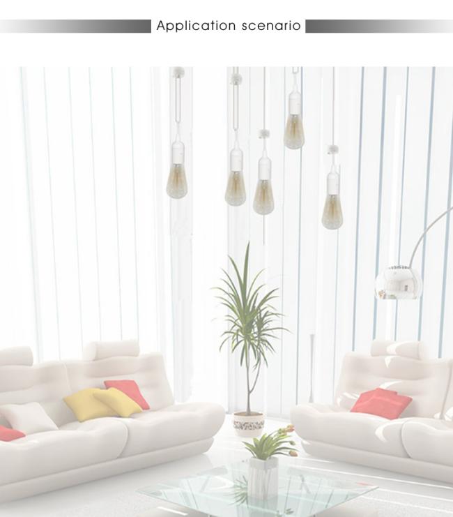 Different plug types for international markets