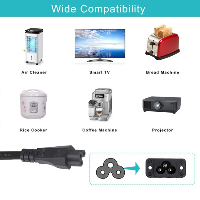 Close-up of Swiss SEV 1011 plug