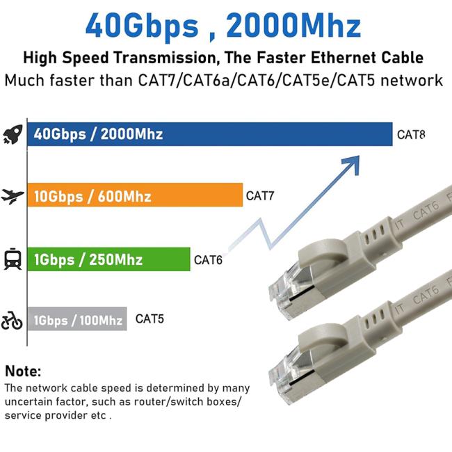 CAT6 (4).jpg