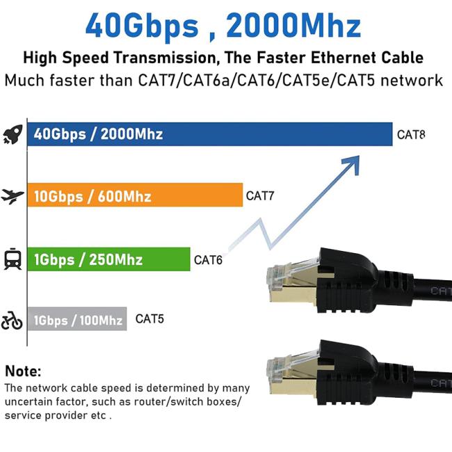 cat 8 (8).jpg
