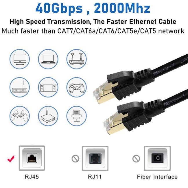 cat 8 (7).jpg