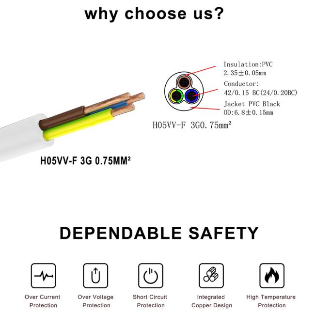 EU to C5 power cord connector detail