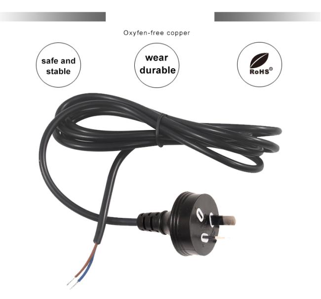AU to stripped power cord plug detail