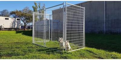 China Hot Dipped Galvanized Dog Kennels 6FT Chain Link Dog Kennel Outdoor Run Cage for sale