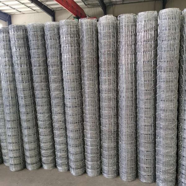 Quality Deer Goat Hinged Joint Field Farm Fence Roll Animal Wire Mesh Grassland Fence for sale