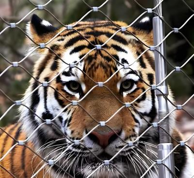 China 304 316 316L roestvrij staal draad touwnet Net Voor vogelhuis dierentuin Mesh for sale