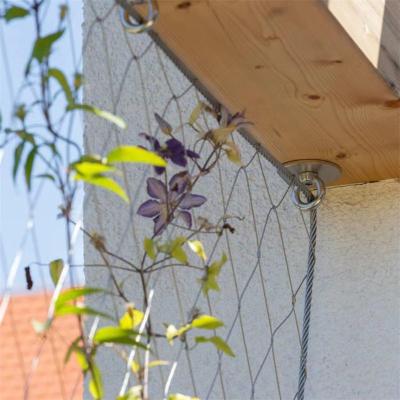 China 7x7 Anti Fall Stainless Steel Wire Rope Netting Staircase Safety Fence for sale