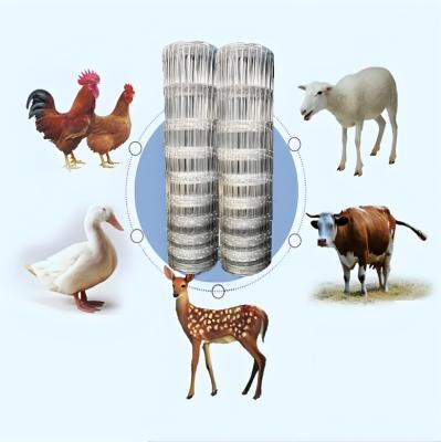 China 2.0MM High Tensile Strength Galvanized Wire Farm Cattle Fence For Vegetables Garden Netting Surface Treatment for sale