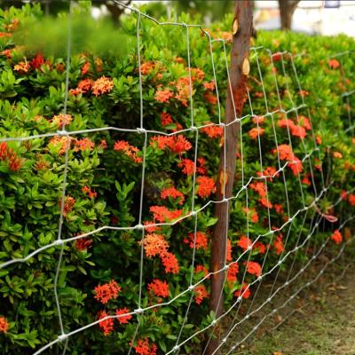 China 1.8MM linha de arame galvanizado de mergulho quente com nó fixo África do Sul vedação de fazenda de ovelhas para cercas de animais vedação à venda