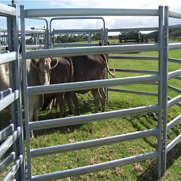 Quality Galvanized Steel Horse Fence Panel 1.8x2.1m Heavy Duty Livestock Corral for sale
