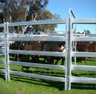 China Heat Treated Welded Steel Livestock Fence Panel With 3D Modeling Galvanized for sale