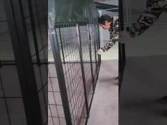 6ft hoog gespannen stalen hondenhok met poederbedekking hondenhuis